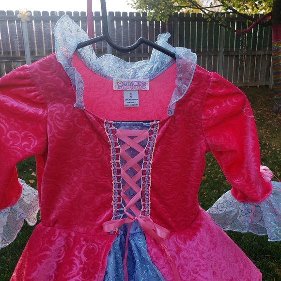 Princess Paradise | Costumes | Princess Paradise Pink Blue Princess ...